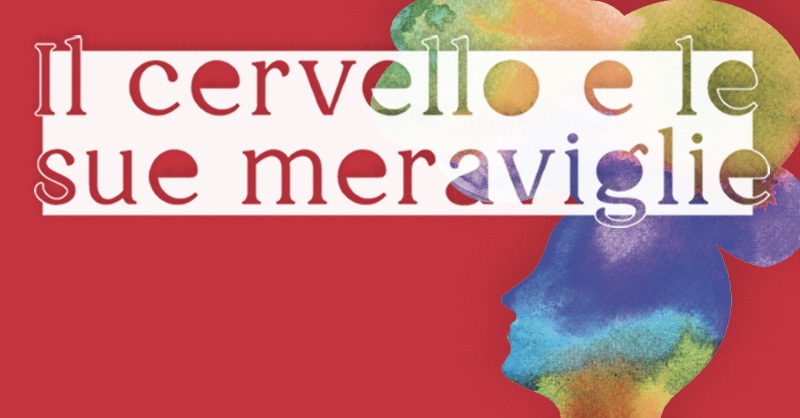 Il cervello e le sue meraviglie - Culture Il cervello e le sue meraviglie - Culture